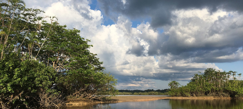 AMAZON LOWLANDS – Creativ Voyages