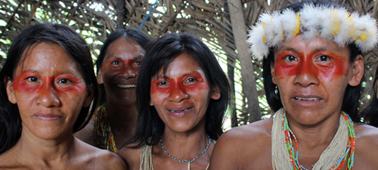 TIEFLAND DES AMAZONAS – Creativ Voyages